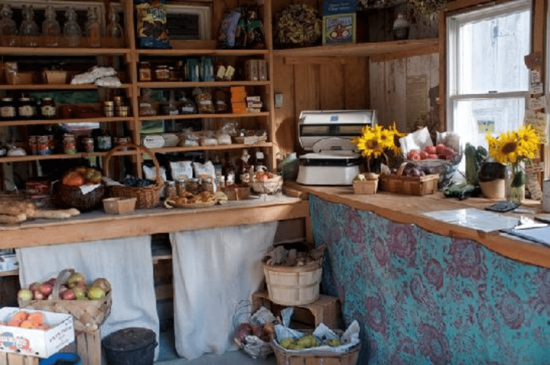 Country Weekend Photography Workshop - How To Photograph Your Life