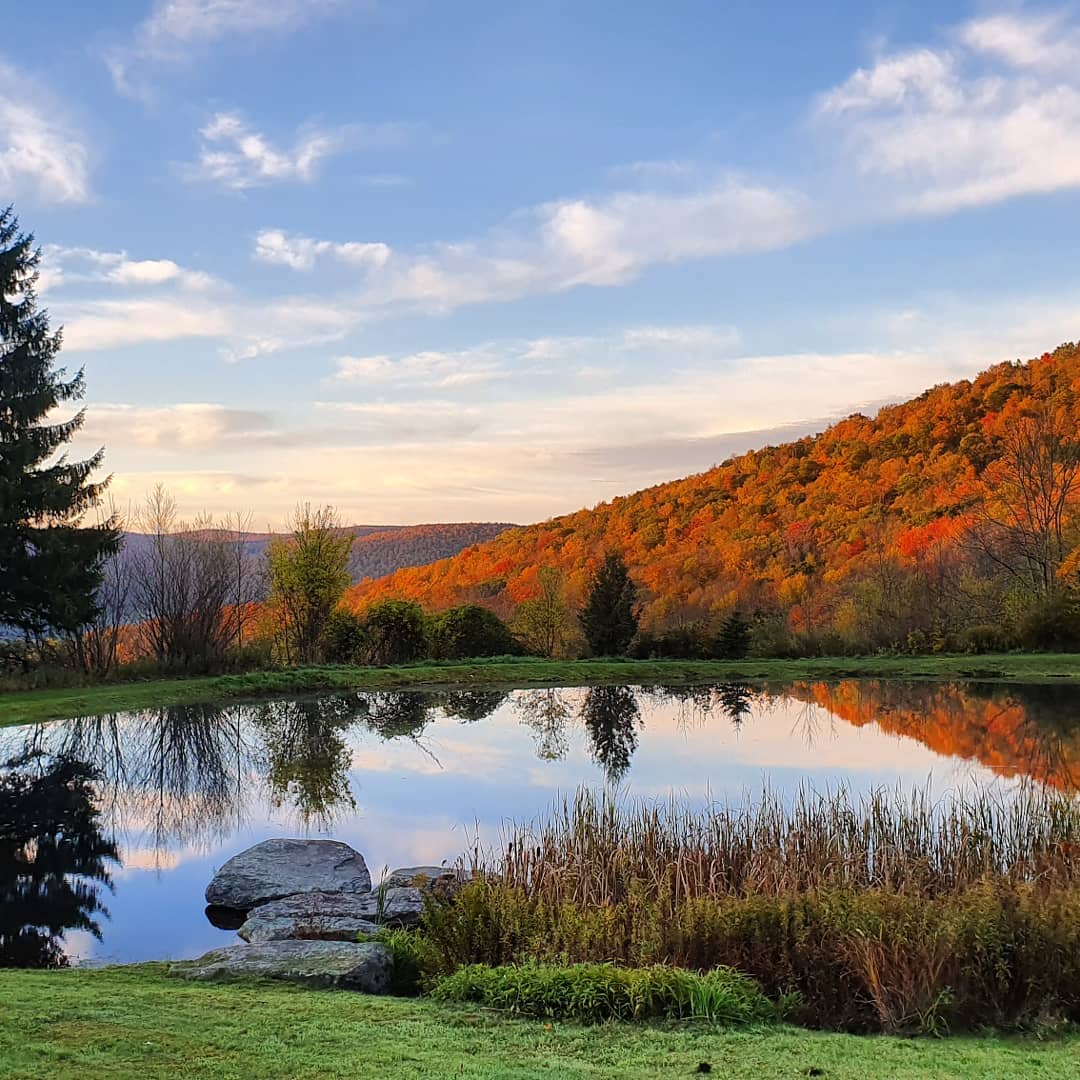 Fall Foliage Photography Weekend with Nick Kelsh - How To Photograph ...
